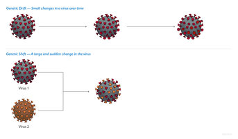 Proactive Surveillance to Ensure Broad Flu Strain Detection